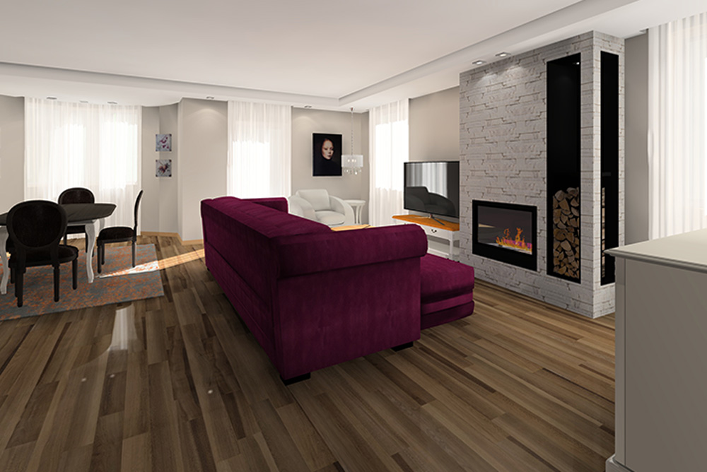 Simulación 3D - Intradomus