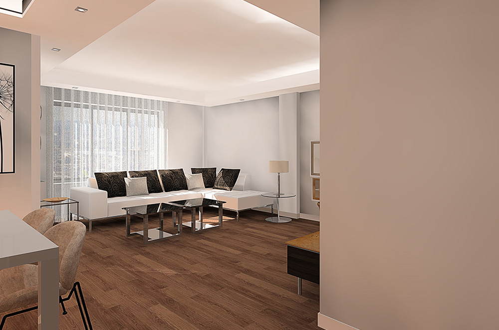 Simulación 3D - Intradomus